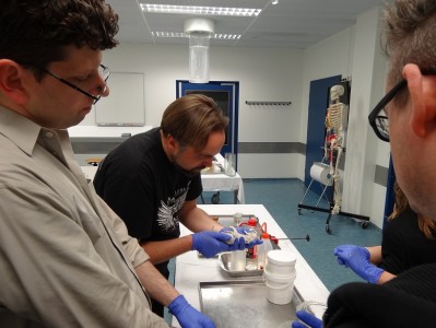 Pestbeulen und präparierte Primaten – Das "Amsterdam Weekend of Anatomy ...